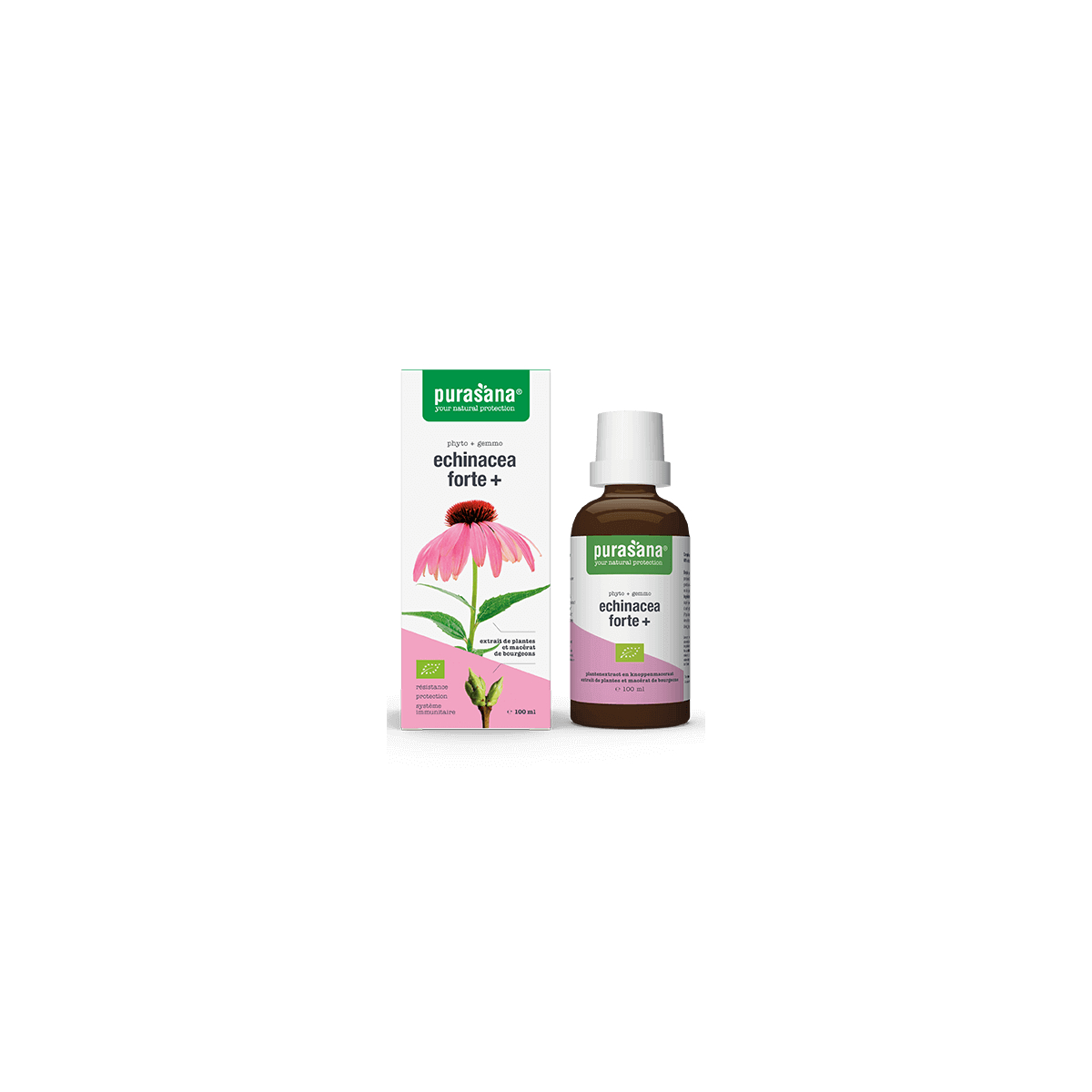 Echinacea Fotre + Bio - Phyto+Gemmo Immuniteitscomplex 100 ml - Purasana