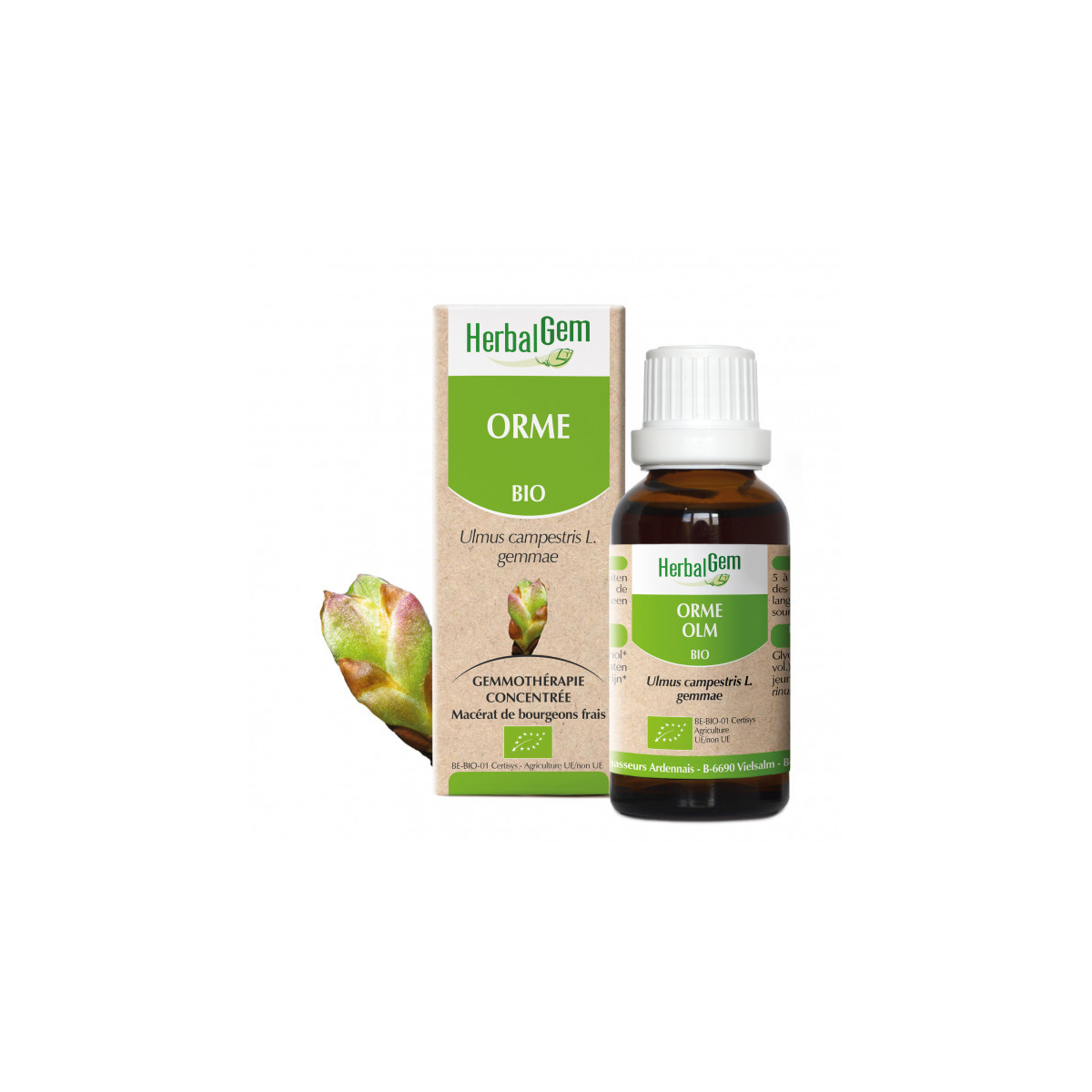Orme bourgeon 30 ml Bio - Herbalgem