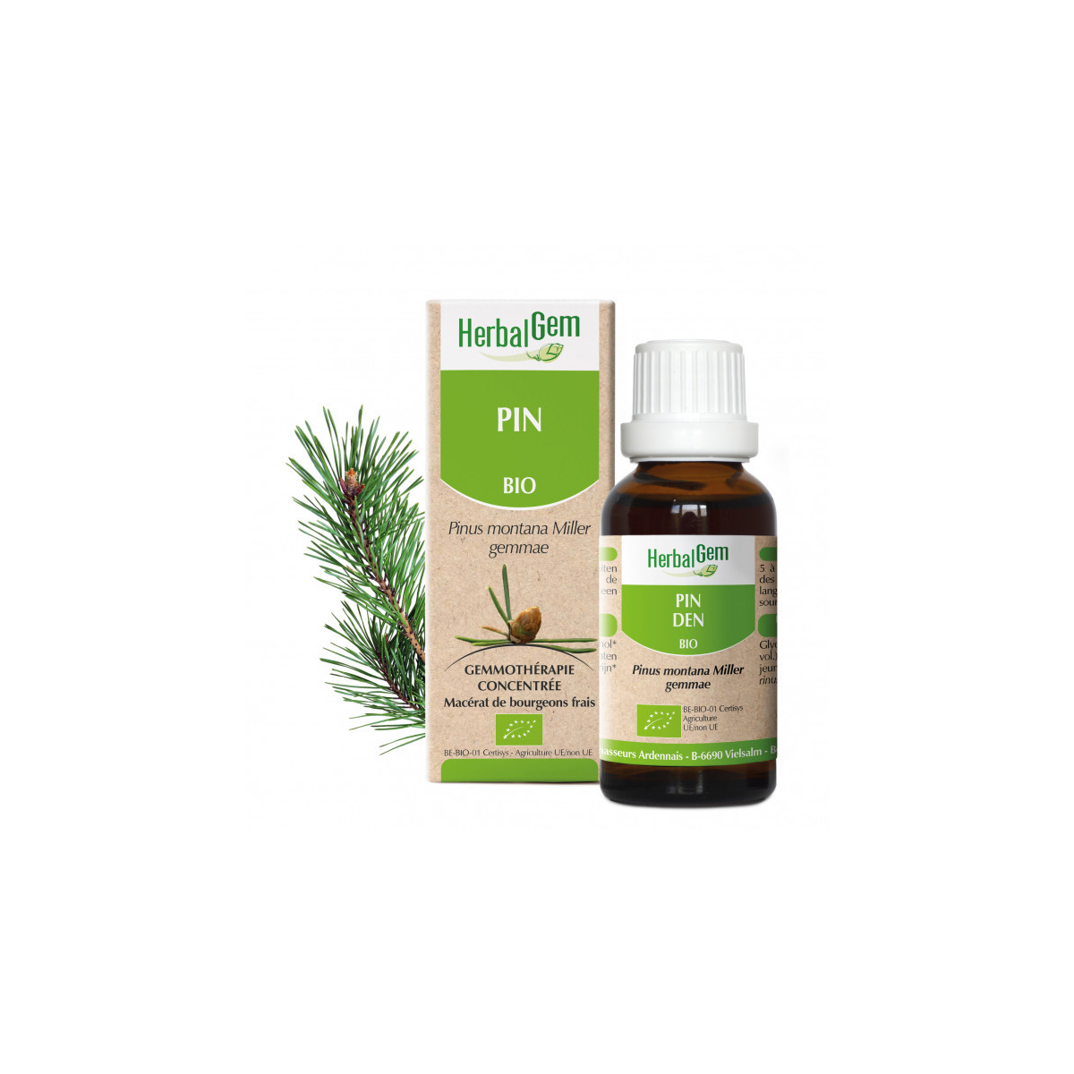 Pin bourgeon 30 ml Bio - Pinus sylvestris Macérat - Herbalgem