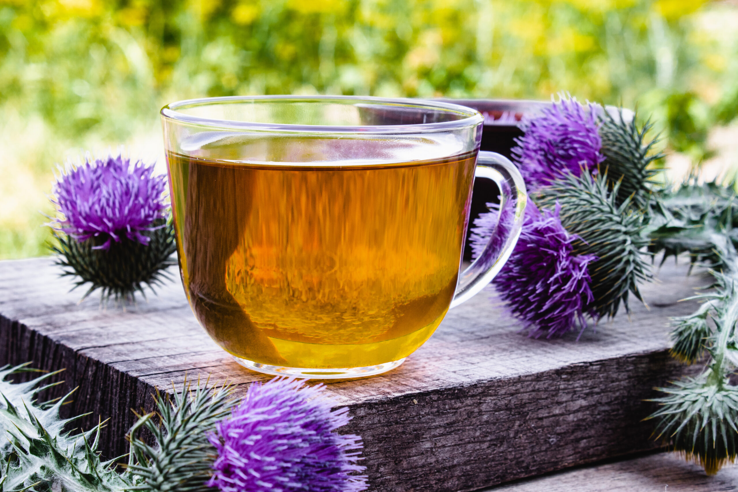 Tisane Chardon Marie