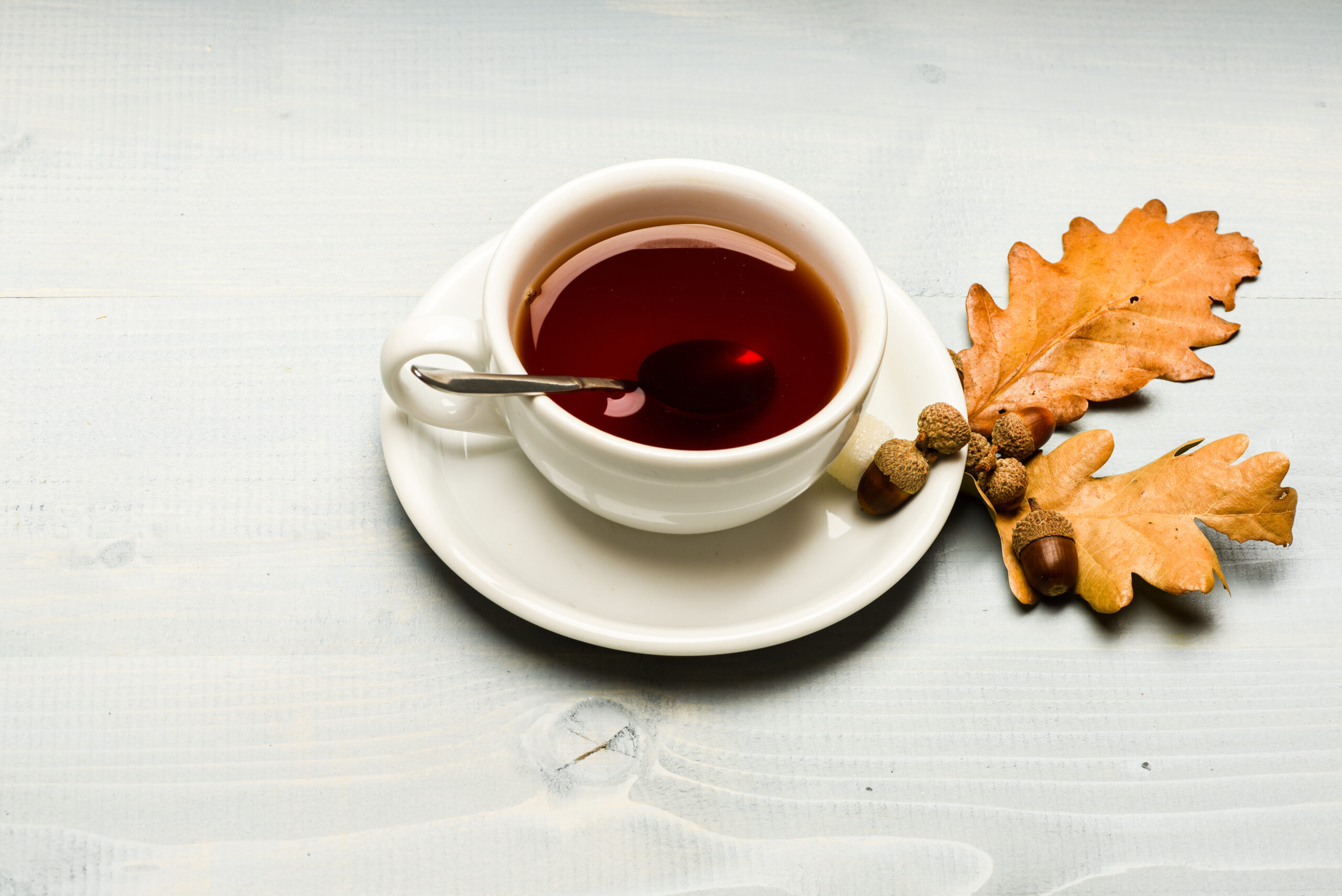 Tisane Chêne