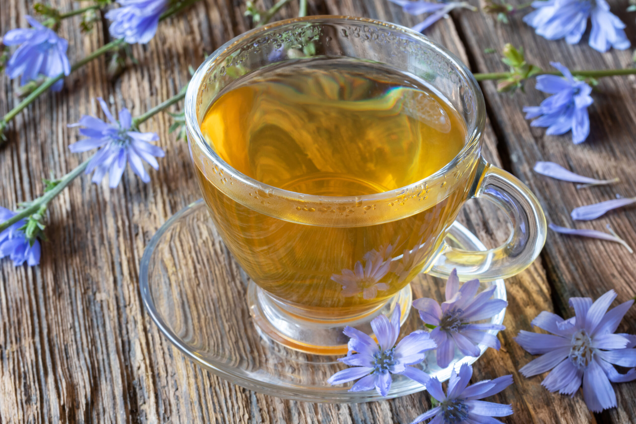 Tisane Chicorée Sauvage (racine)