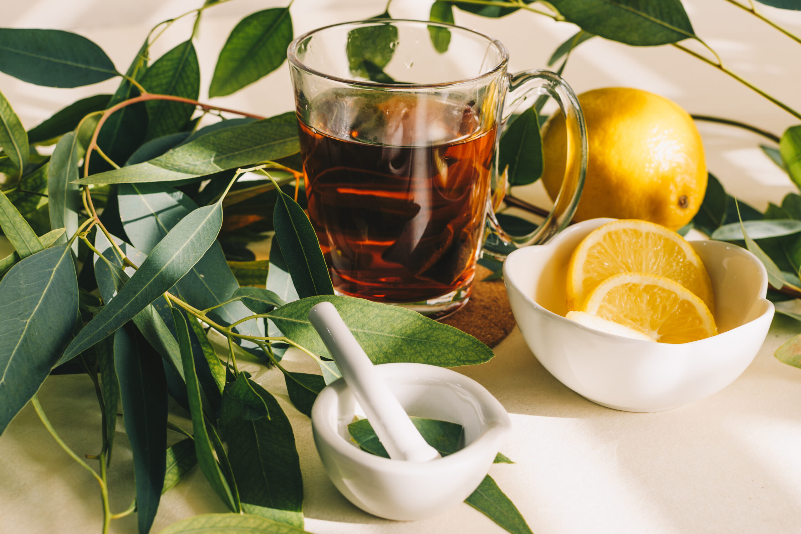 Recette : Tisane Eucalyptus