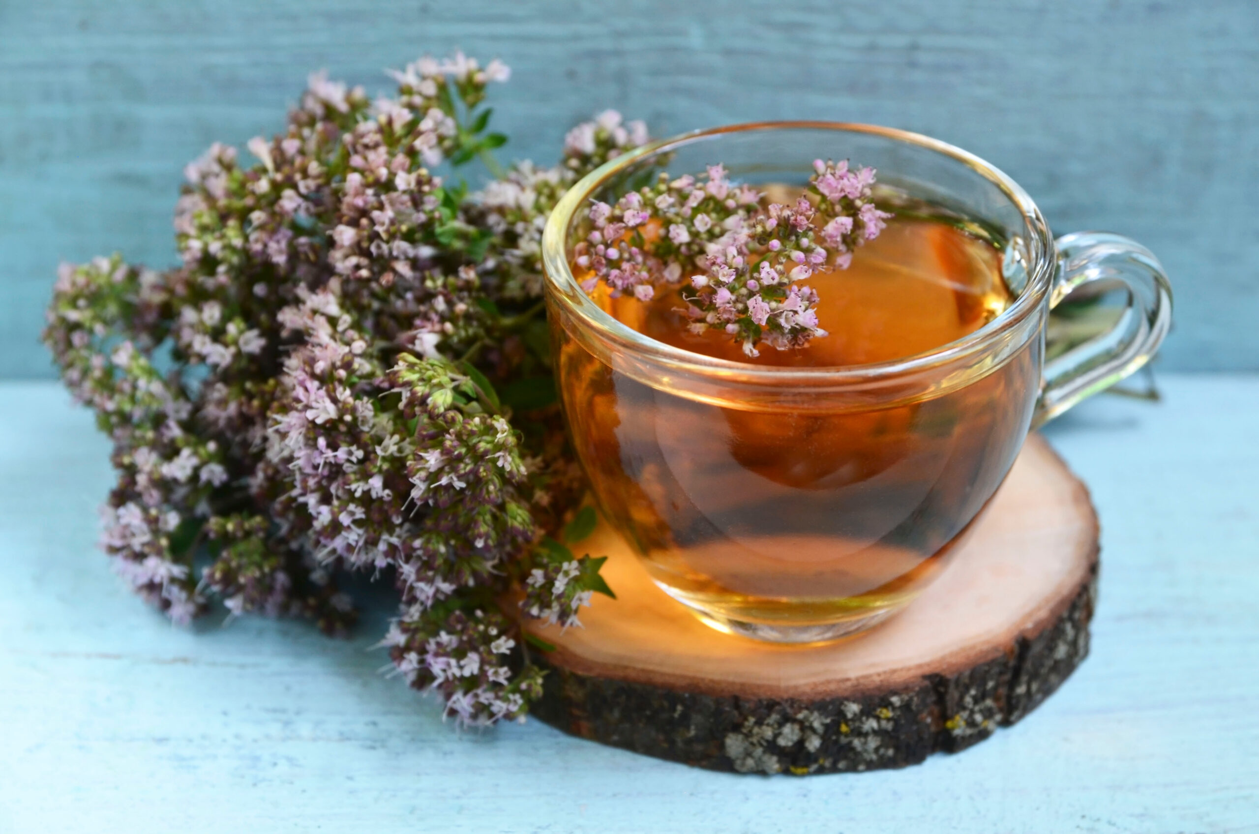 Tisane Origan