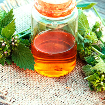 Les vertus et bienfaits de la Ballote noire - Ballota nigra