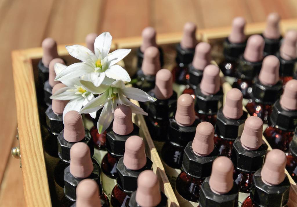 Fleurs de Bach Questionnaire - Composez votre mélange personnel