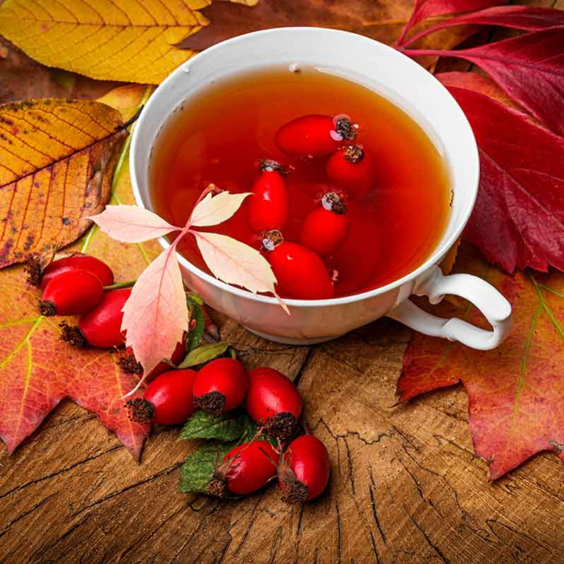 Infusie en kruidenthee: Rode wijnstok